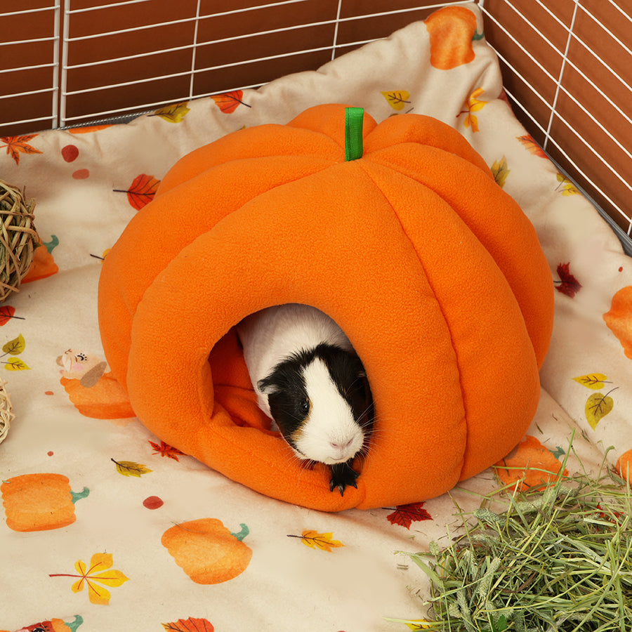 Guinea Pig Liners & Accessories | Autumn Collection | Kavee UK