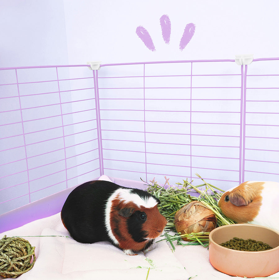 Mint and Lilac C&C Grids for Guinea Gig Cage | Kavee C and C cages UK
