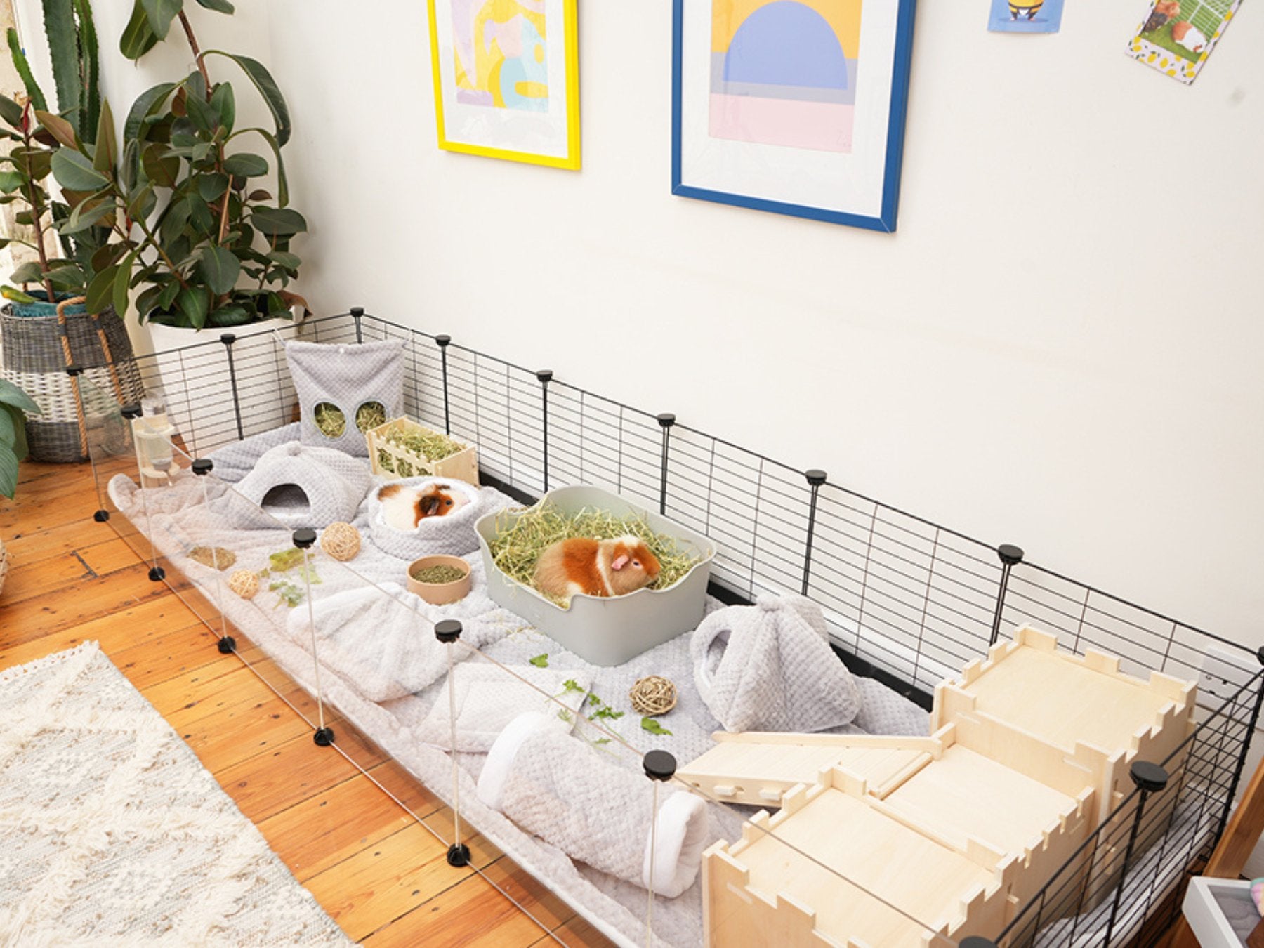 C and C Guinea Pig Cage - Coroplast & Cubes Panel Grids | Kavee C&C ...