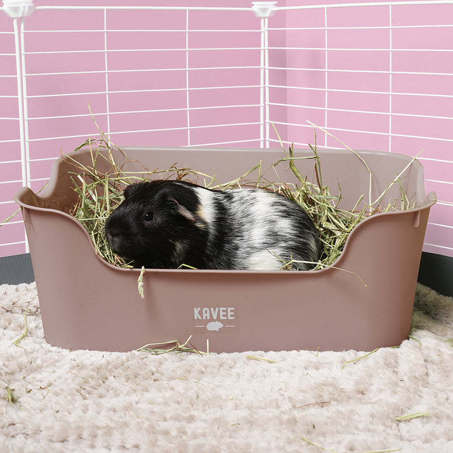 New Kavee Products for Rabbits and Guinea Pigs | Kavee UK