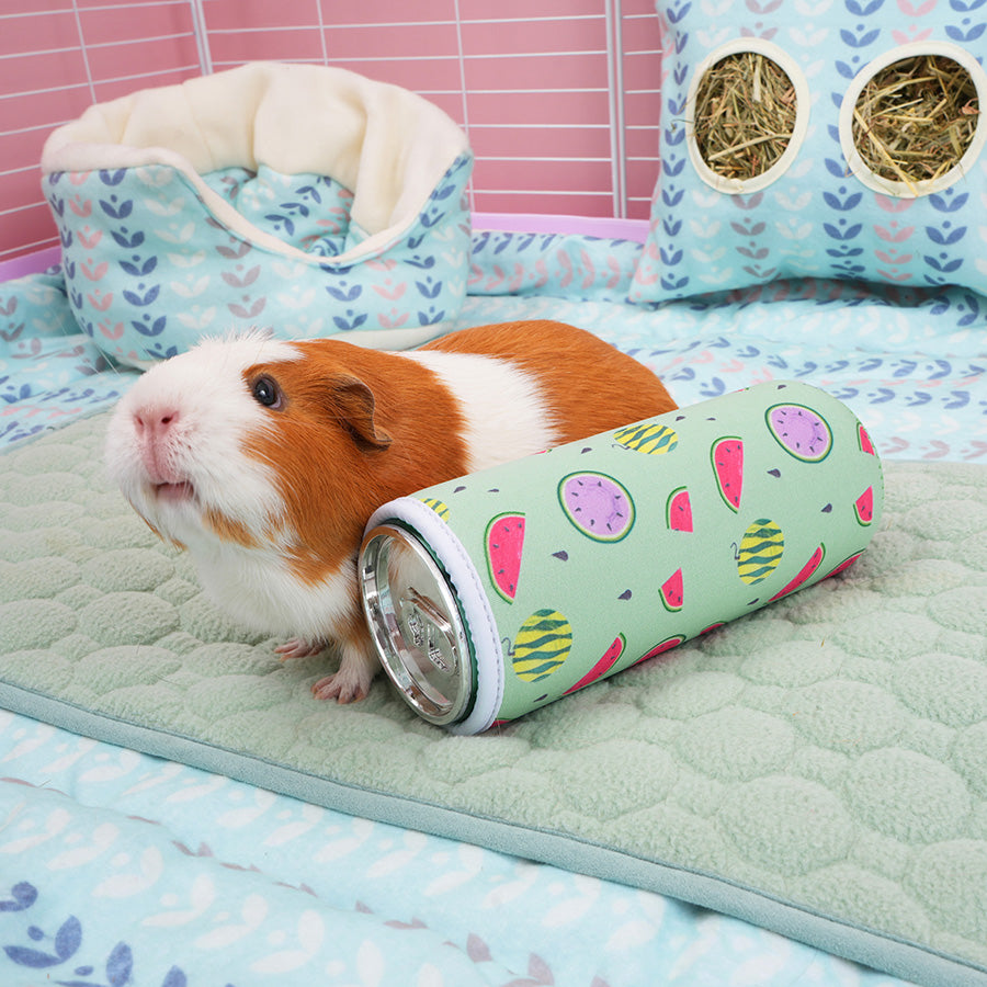 C&C Cages & Fleece liners for Guinea Pigs and Rabbits | Kavee UK