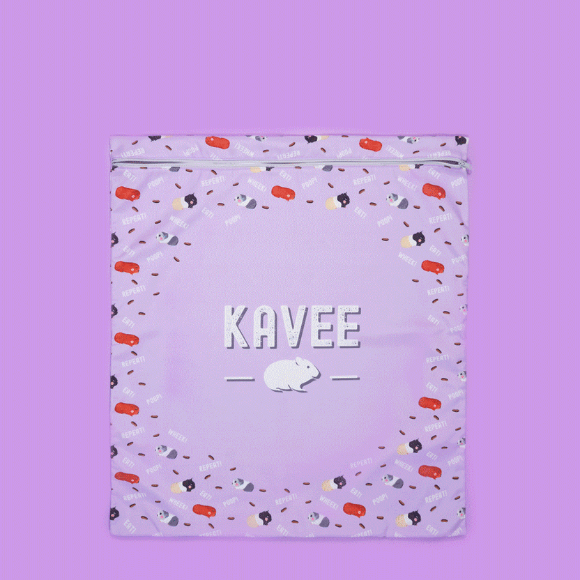 The UK’s Leader for Guinea Pig Products | Kavee UK