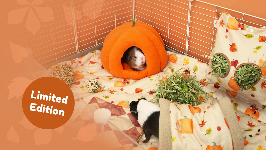 C&C Cages & Fleece liners for Guinea Pigs and Rabbits | Kavee UK